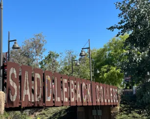 Home | Saddleback College